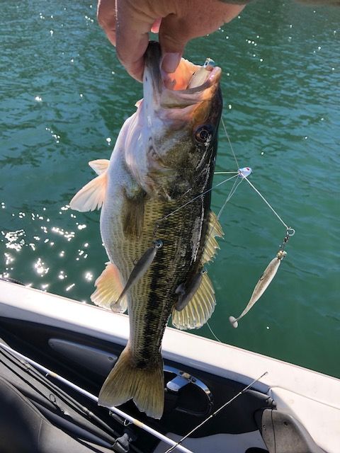 Slinging the Rig in Early Spring – Cast Away's Blog