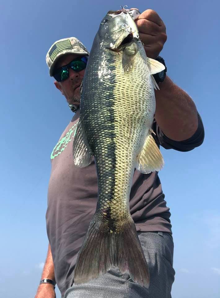 Is You Crazy Boy?? – Cast Away's Blog