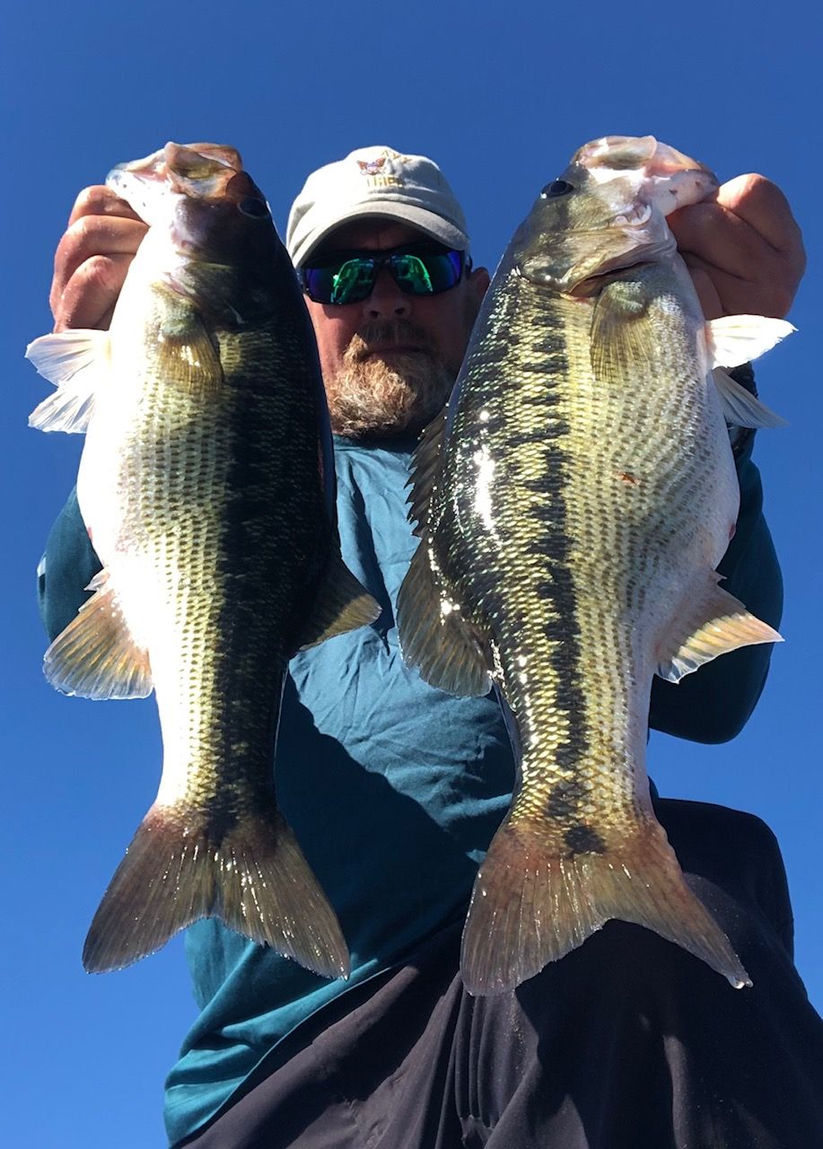 Loons and Spoons with Rocks and Docks – Cast Away's Blog