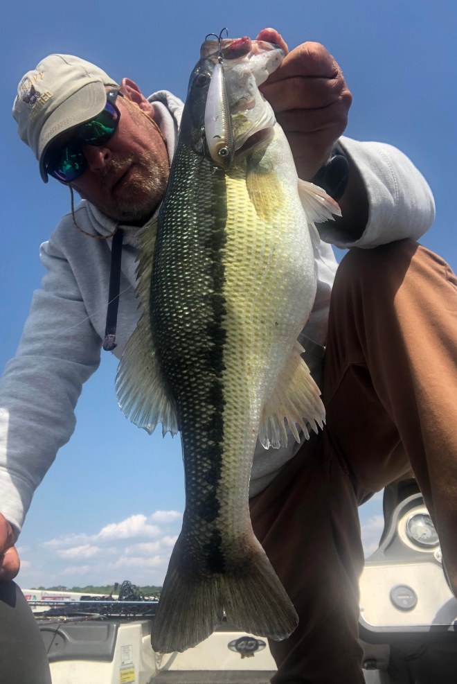 Was it just a Fluke? – Cast Away's Blog