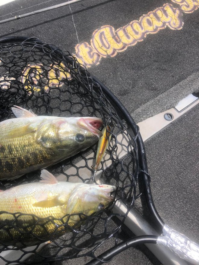 Choppin chop with the Choppo – Cast Away's Blog