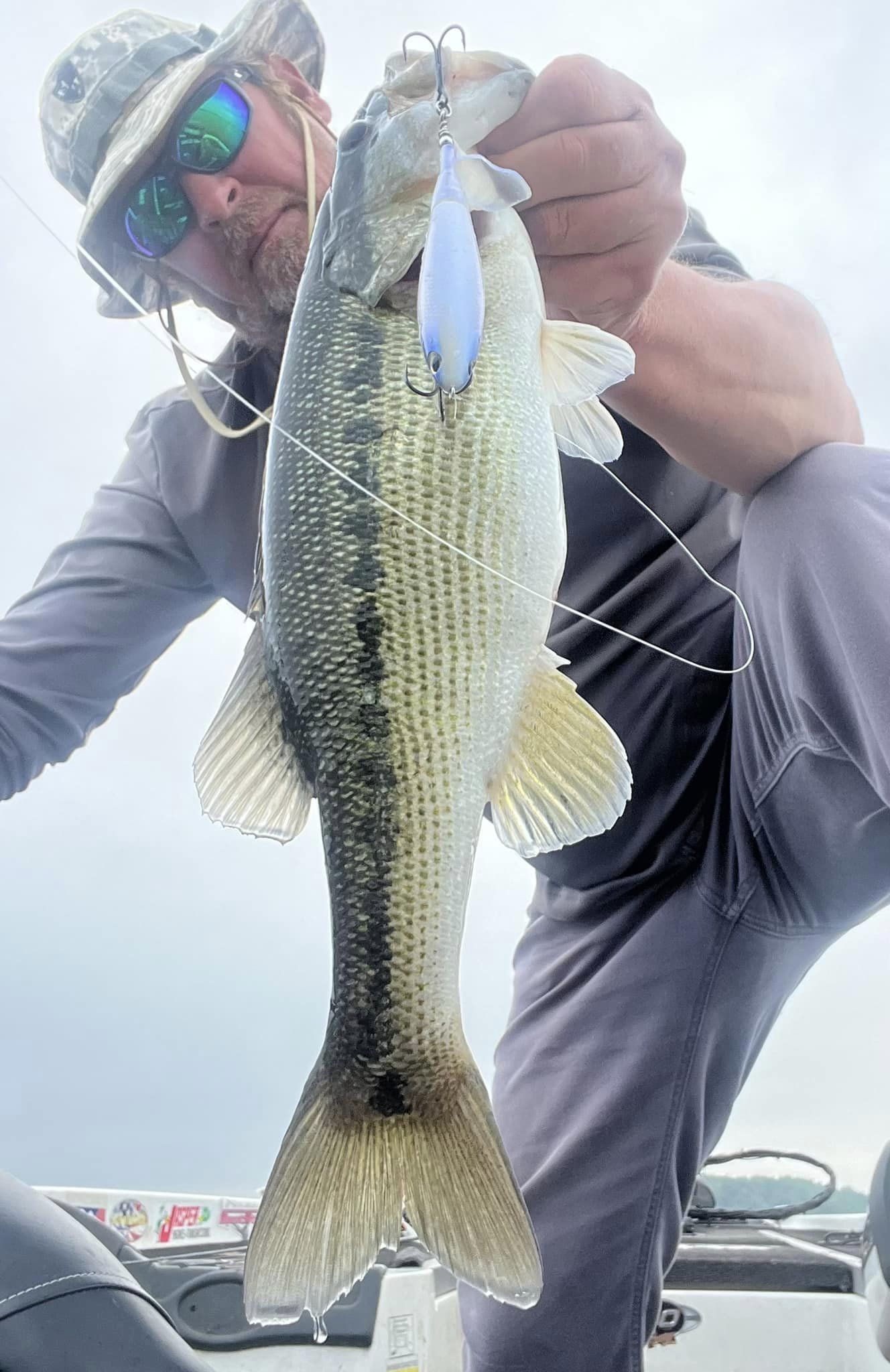 Finding the Ham Bone Stash – Cast Away's Blog