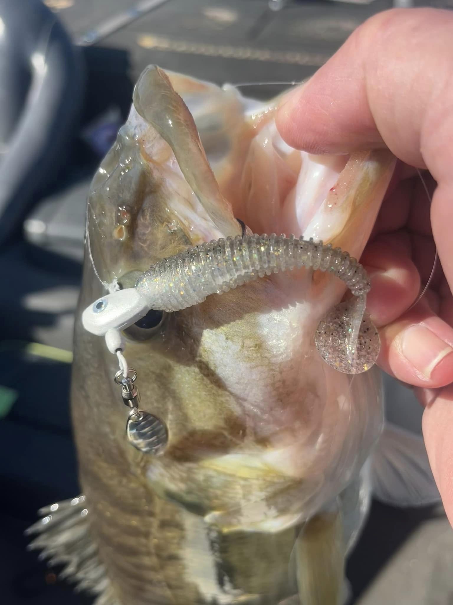 Ditches, Docks and Damiki’s – Cast Away's Blog