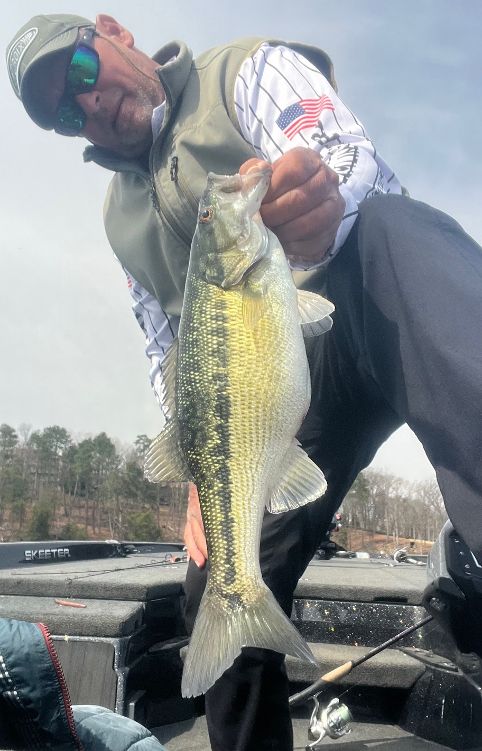 Fishing, Fasting and Felines – Cast Away's Blog
