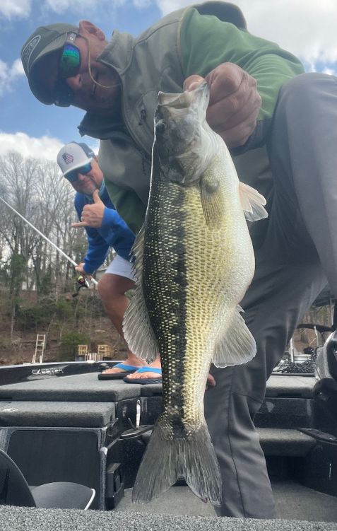 Fishing, Fasting and Felines – Cast Away's Blog